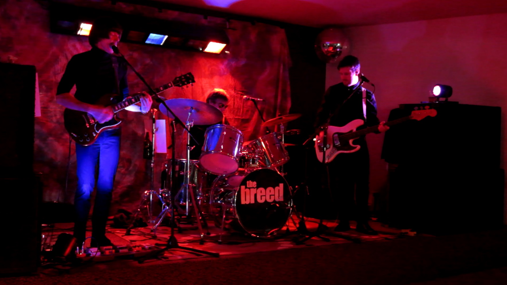 The Breed’s Photo Gallery – The Breed