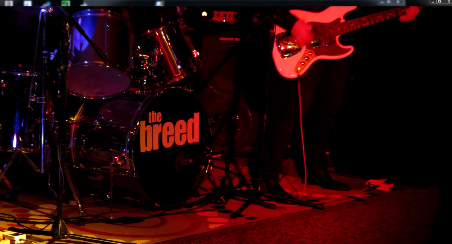 The Breed’s Photo Gallery – The Breed